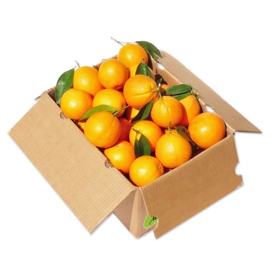 White Corrugated Board Vegetable And Fruit Shipping Packaging Carton ...
